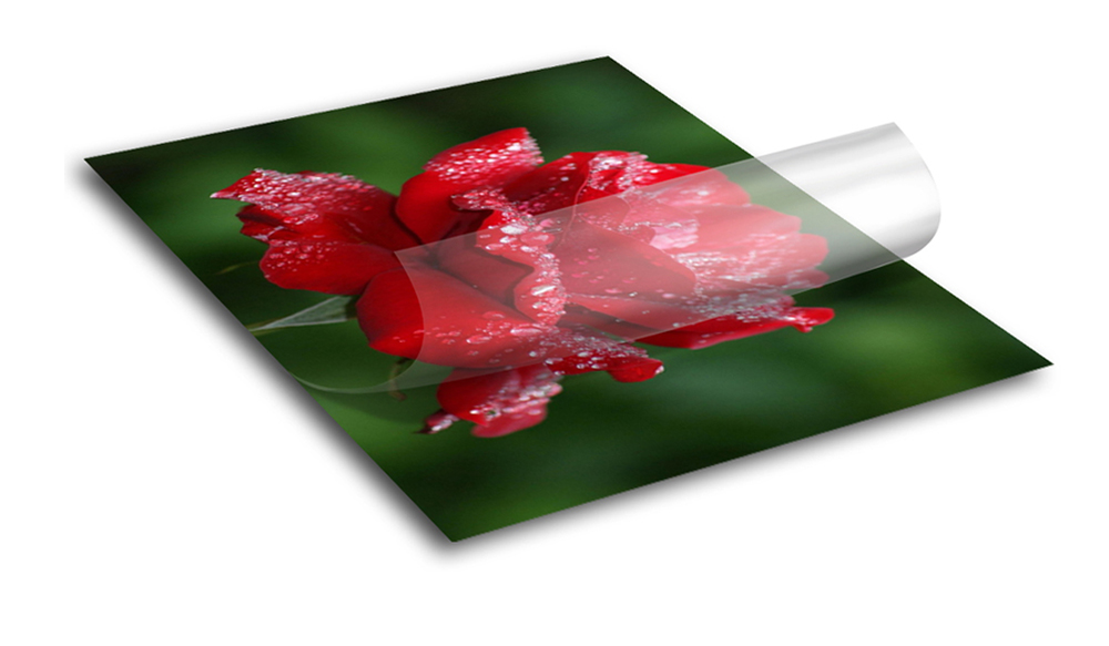 Adhesive Translucent Vinyl - Next Day Display